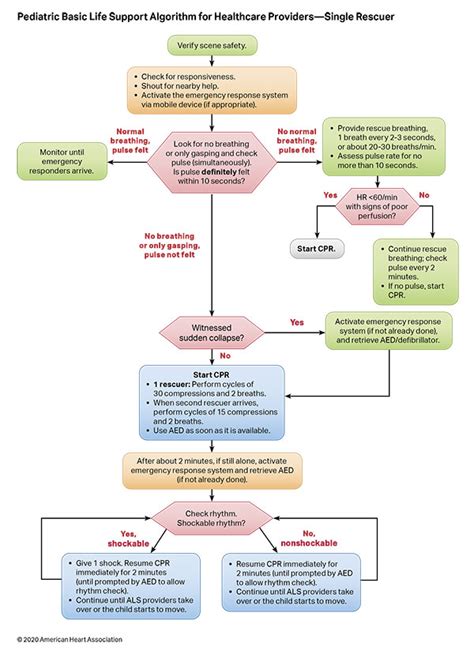 Acls Algorithm 2024 Pdf Free Download Doris Germain