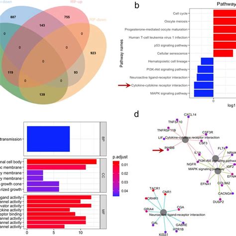 Transcriptome Sequencing And Bioinformatics Analysis For Patients With Download Scientific