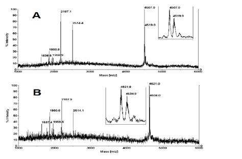 Maldi Tof Ms Analysis Of The Hplc Purified Active Fraction Either