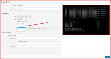 click image magnify plugin in wordpress systemconf