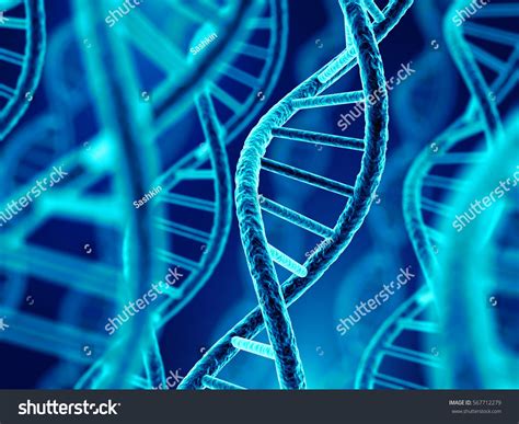 Dna X Rna Mind Map