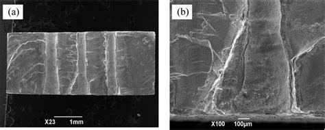 Fracture Morphology Of Esm A Macroscopic Fracture Morphology B Download Scientific