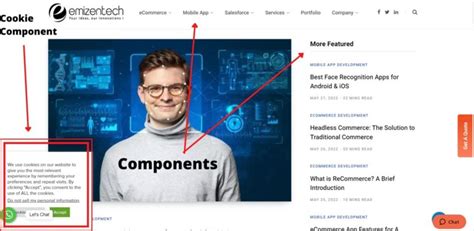 Types Of Reactjs Components In Programming Mobile App Development