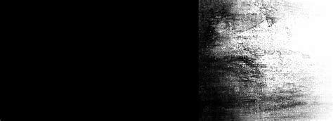 Echosex Baby Fox Gear Distribution