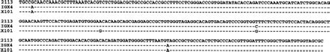 Nucleotide Alignment Created Using Clustalw Thompson Et Al 1994 Of Download Scientific