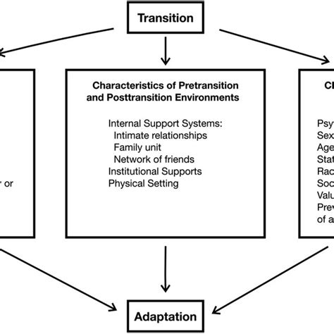 Redrawn From A Model For Analyzing Human Adaptation To Transition Download Scientific Diagram