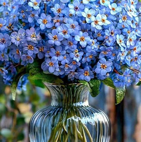 ააიპ ააიპ ბათუმის საბავშვო ბაღების გაერთიანება