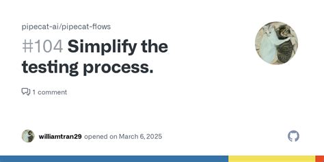 Simplify The Testing Process Issue Pipecat Ai Pipecat Flows GitHub