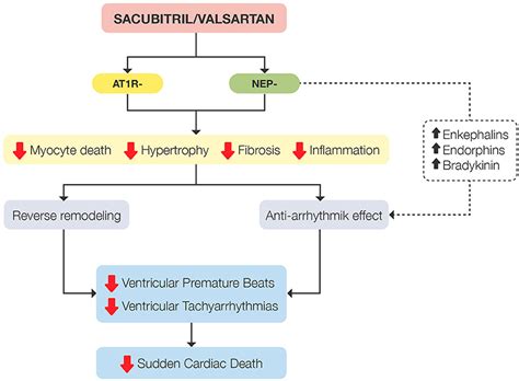 Frontiers Sacubitril Valsartan Clinical Benefits And Related