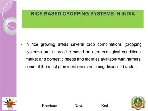 Ppt Inter And Sequential Cropping Crop Rotation In Rice Powerpoint