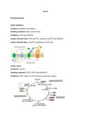 Understanding Photosynthesis and Cellular Respiration Processes | Course Hero