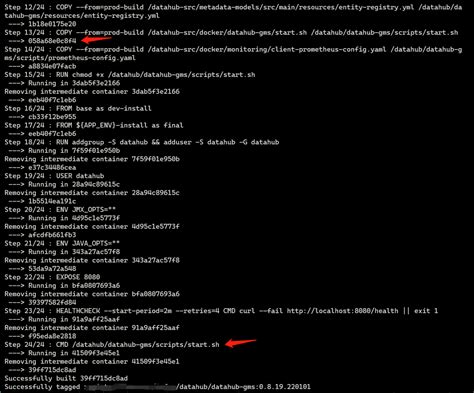 Docker Package Could Not Find Startsh · Issue 3818 · Datahub Project