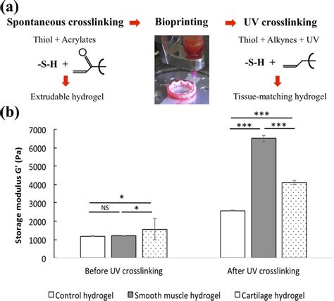 A Schematic Of The Two Step Crosslinking Hydrogels Used In This Download Scientific Diagram