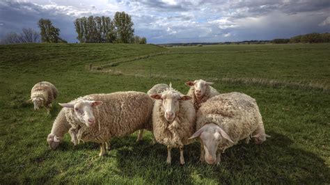 کلکسیون عکس های زیبا متنوع و جدید و تصاویر ناب و کمیاب