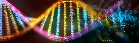 The Complete Automated Solution For NGS Library Prep And QC