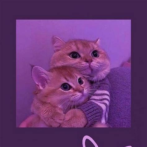 Only One Click Youtube