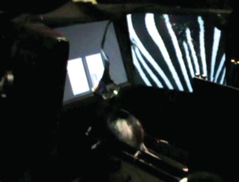 A Touchscreen Based Contextual Response Selection Task A Side View Of