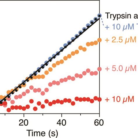 Absorption Spectral Changes At Nm Of TrisHCl Buffer MM Download Scientific Diagram