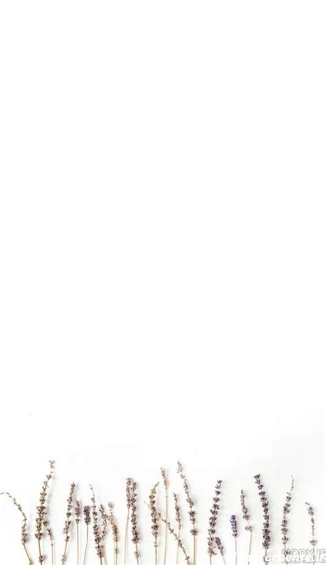 30 عکس صفحه ی سفید خالی دنیای خلاقیت را باز میکند