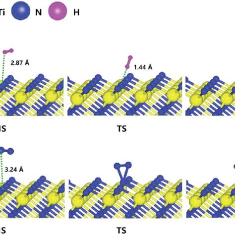 The Optimized Initial Transition And Final Structures Of The
