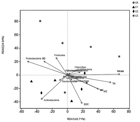 Response Of Organic Carbon Mineralization And Bacterial Communities To