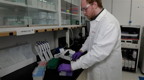 Video High Throughput Automated Multiplex Immunofluorescence Assays