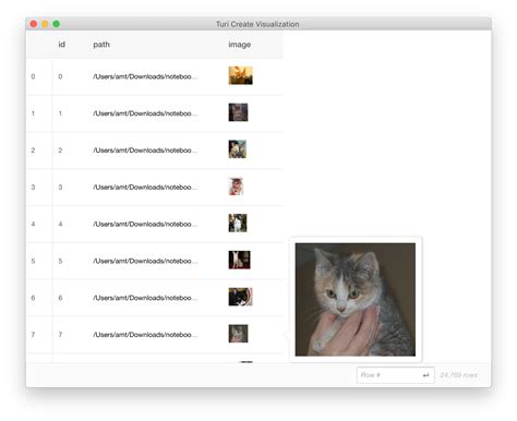 Create Ml Tutorial Getting Started Kodeco Create Ml Tutorial Getting Started Kodeco