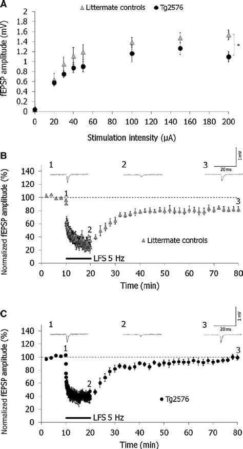 Basal Synaptic Transmission And Low Frequency Stimulation Lfs Download Scientific Diagram