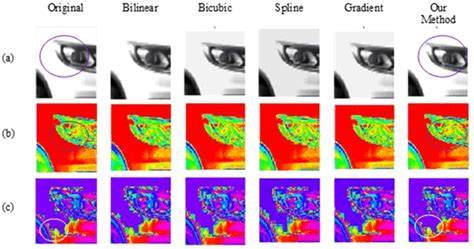 the true high resolution image and comparison of interpolation methods download scientific