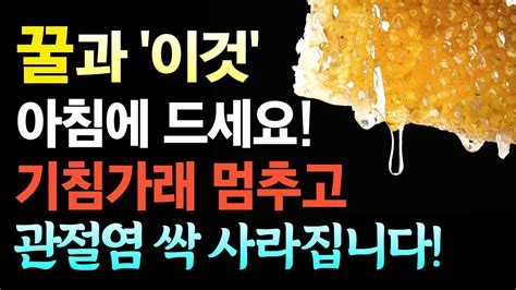 매일 아침 꿀과 이것을 함께 먹으면 기침가래 관절염 불면증이 싹 사라집니다추운 겨울 감기독감을 예방할 꿀로 만드는 최고의 레시피 Top 5 만성염증벌꿀건강정보