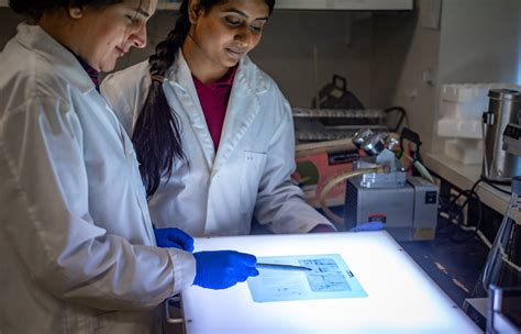 Navigating The Complexities Of Biomedical Research Tips And Strategies