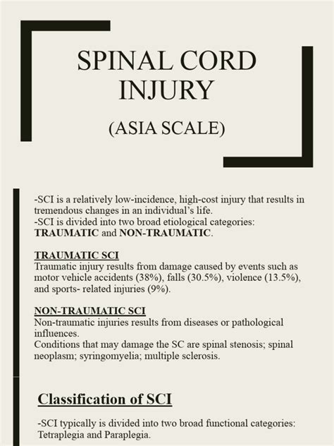 Sci Asia Scale Ppt Final Pdf Spinal Cord Spinal Cord Injury