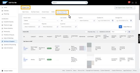 Ask An Expert Peer Is Now Live In The ‘get Support Sap Community
