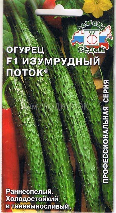 купить огурец Изумрудный поток F1