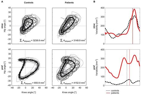Within Group Cyclogram Variability The Variability Of The Cyclogram