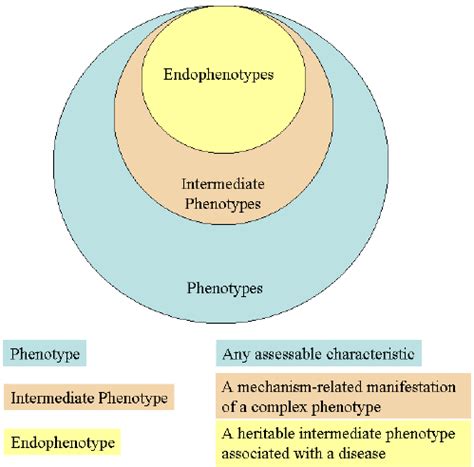 Phenotype Picture