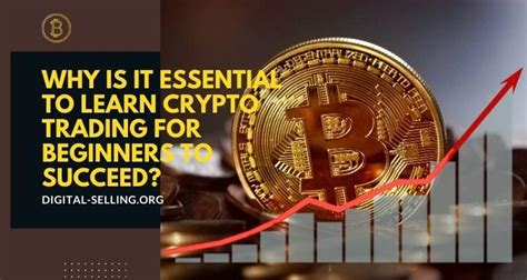Why Is It Essential To Learn Crypto Trading For Beginners To Succeed Digital Selling Global