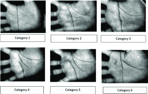 Palm Print Classification By Wu Et Al Download Scientific Diagram