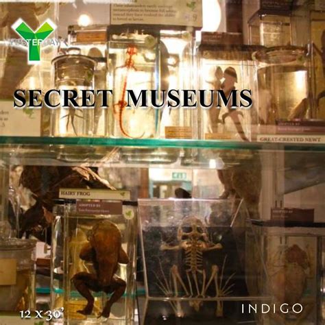 Programming — Indigo Entertainment