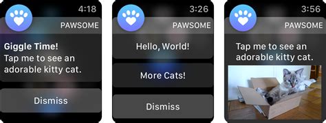 announcing watchos with swiftui by tutorials first edition kodeco