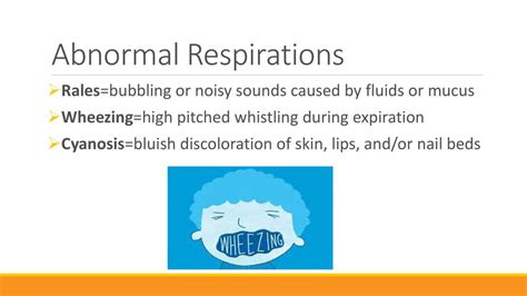 vital signs respirations ppt download