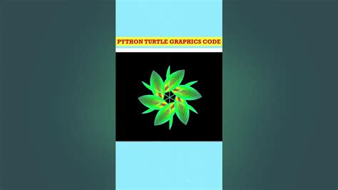 python turtle graphics code amazing blue orchid flower drawing 2023 youtube