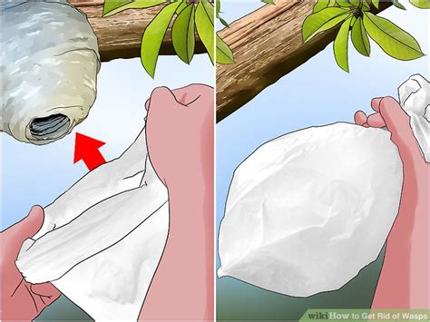 Ways To Get Rid Of Wasps WikiHow