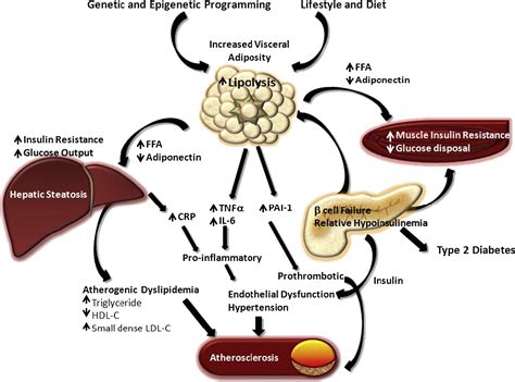 Icd 10 For Metabolic Syndrome Captions Hunter