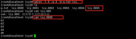 【linux】常用的文本处理命令详解 实例 ⭐实操常用，建议收藏！！⭐ Linux文本处理 Csdn博客