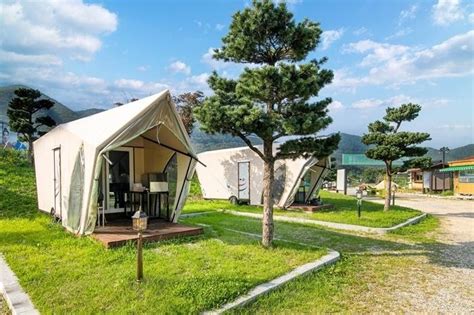용인 대장금파크 글램 캠핑장 오지캠핑노지캠핑