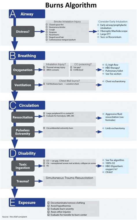 Burns Algorithm Manual Of Medicine