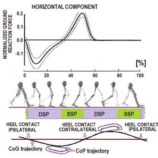 Horizontal Component Of The Ground Reaction Force In The Sagittal Plane Download Scientific