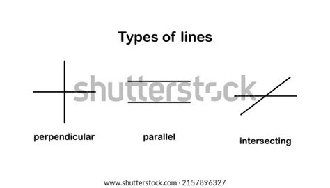 Vector Illustration Types Lines Including Perpendicular 库存矢量图（免版税）2157896327 Shutterstock