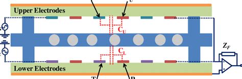 2d Scheme Of The Unique Differential Capacitive Sensor Download Scientific Diagram